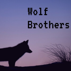 Wolf Brothers Podcast | Free Listening on Podbean App