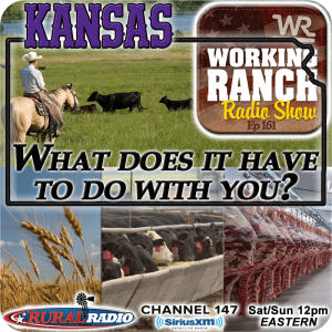 Working Ranch Radio Show | Justin Mills