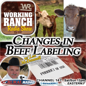Working Ranch Radio Show | Justin Mills