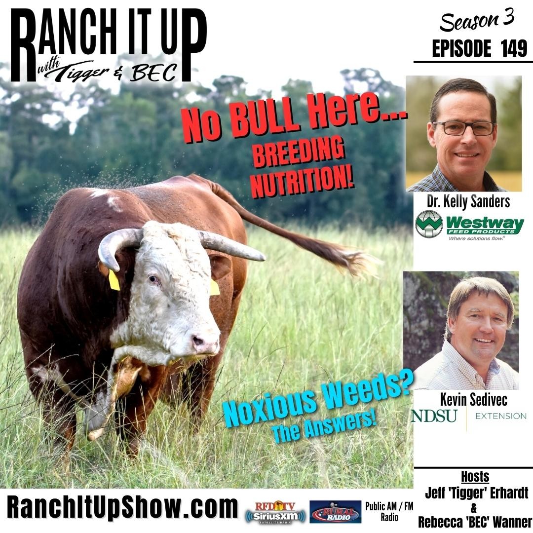 Here Is How To Manage Fall Weeds & Breeding Bull Nutrition – Ranch It ...