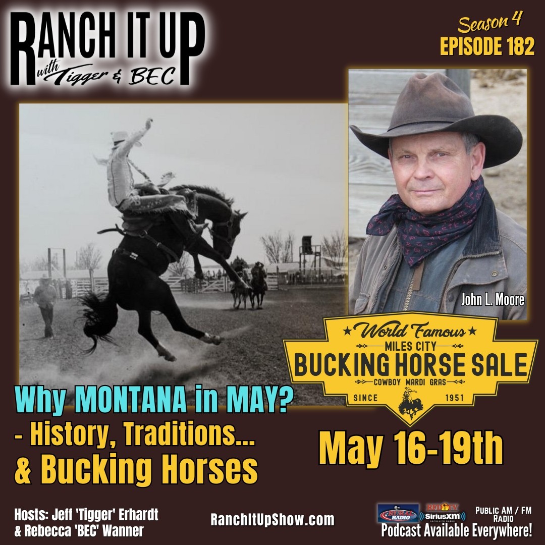 This Is Why You Should Attend The World Famous Miles City Bucking Horse ...