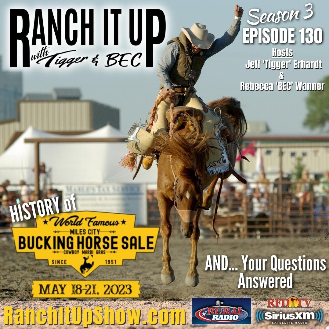 History Of The World Famous Rodeo Bucking Horse Sale, Cattle Herd ...