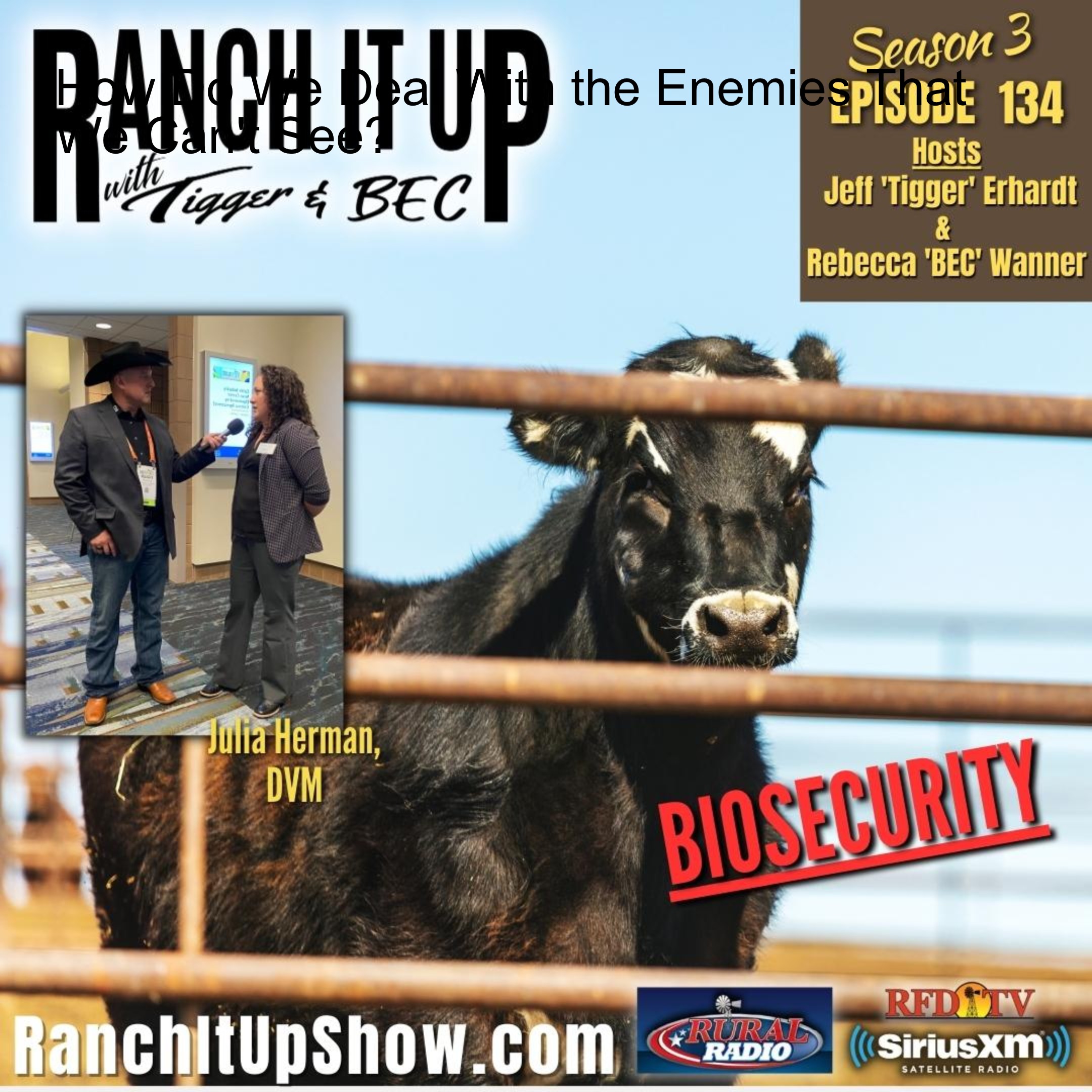 How Do We Deal With the Enemies That We Can’t See? – Ranch It Up Radio ...