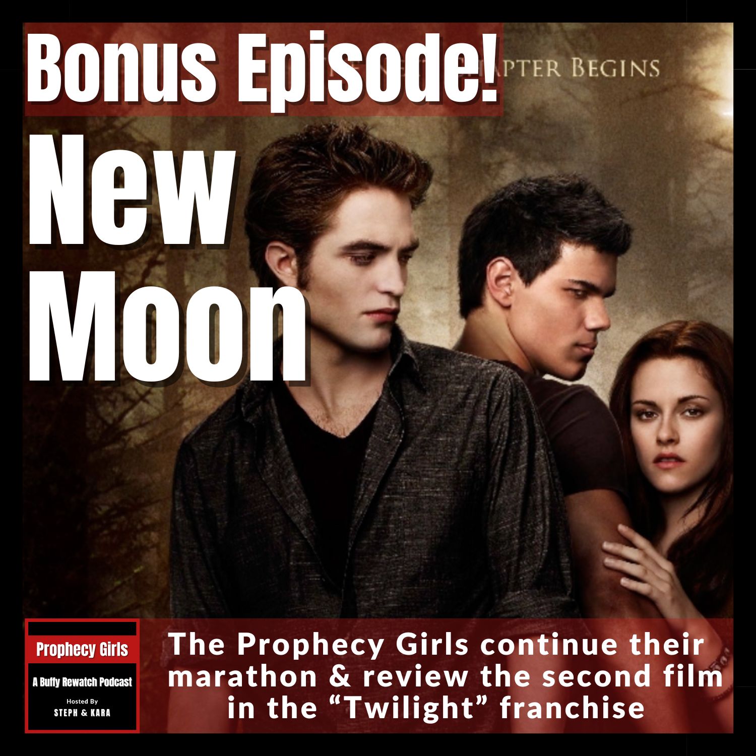 The Twilight Saga New Moon (2009)