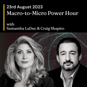 Macro-to-Micro Power Hour | a podcast by Samantha LaDuc