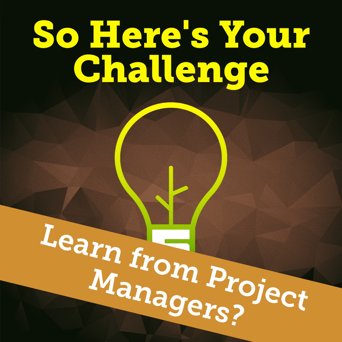 What Can We Learn from Project Managers? – So Here’s Your Challenge ...