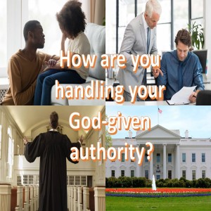 How Do You Use Your God-Given Authority? | Rev. Paul J. Miller