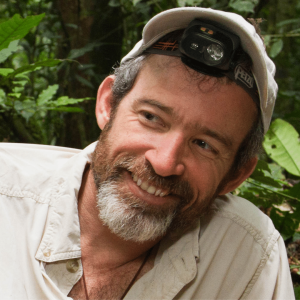 238 | Dr. Brian Fisher - Scientist Eat Bugs known as ’Ant Man’ | Positive Talk Radio