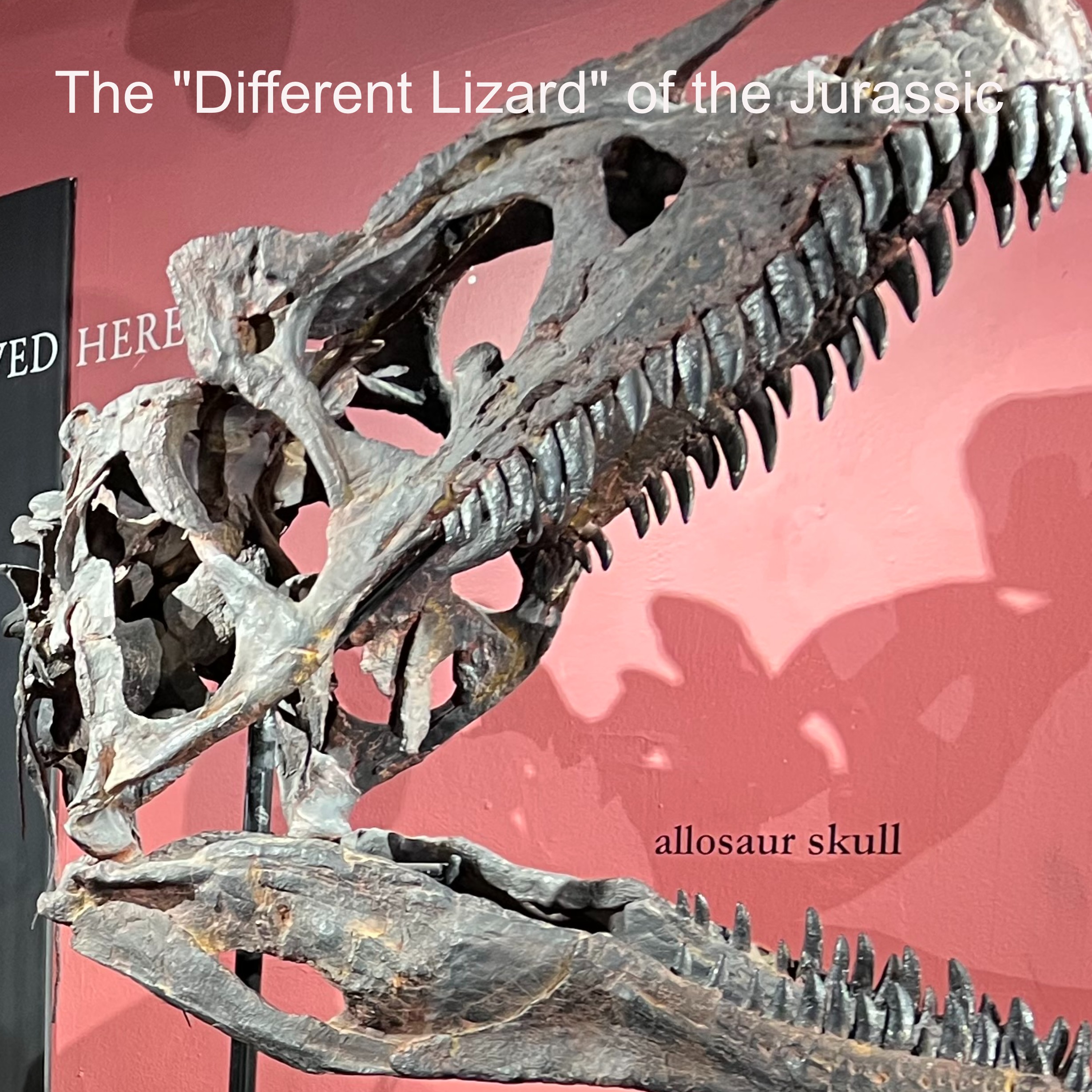 The ”Different Lizard” of the Jurassic – The Land Before Podcast ...