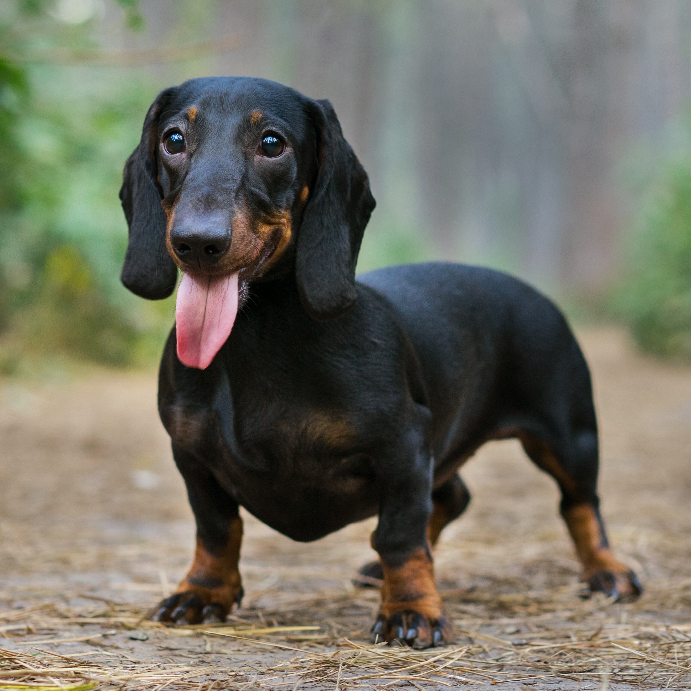 Audio Summary: Do passive range of motion exercises lead to quicker ...