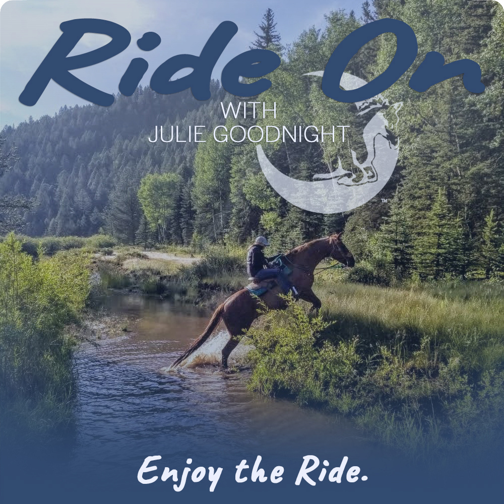 Ride On Rewind! Training Setbacks: How to Deal & Move Forward – Ride On ...