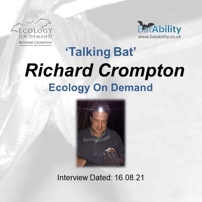 Talking Bat with Richard Crompton (Ecology On Demand) – Talking Bat ...
