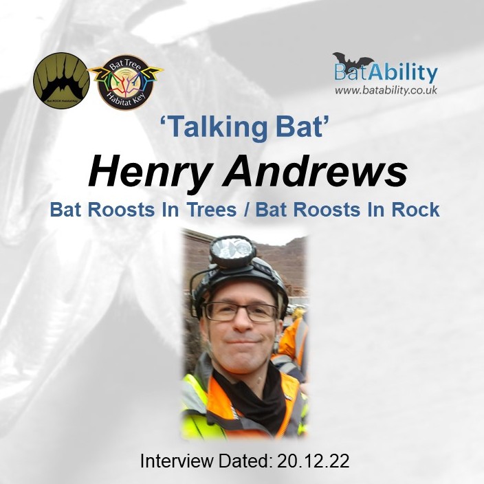 Talking Bat with Henry Andrews (Bat Roosts in Trees & Bat Roosts in ...