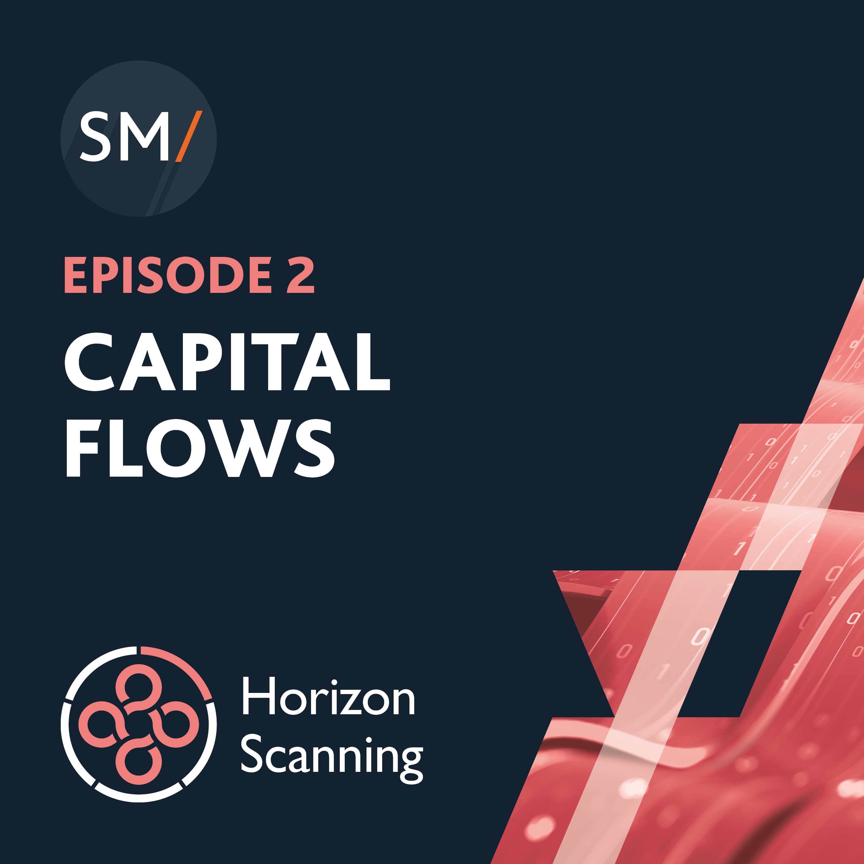 Horizon Scanning 2024 Launch Series – Capital Flows – Horizon Scanning ... Horizon Scanning 2024 Launch Series – Capital Flows – Horizon Scanning ...