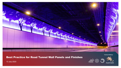 Best Practice for Road Tunnel Wall Panels and Finishes – Austroads ...