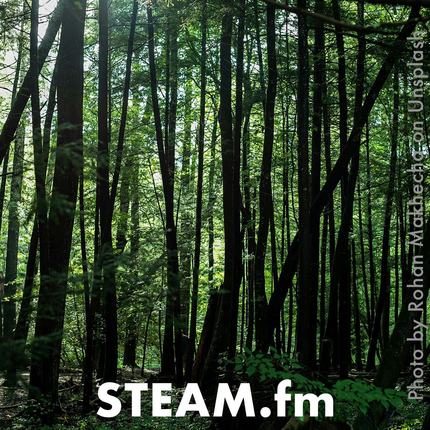 STEAM.fm - LISTEN