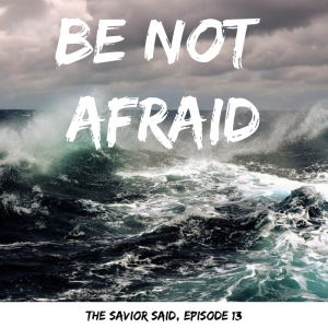 Episode 13: March 25–31 "Be Not Afraid" | The Savior Said: A Come ...
