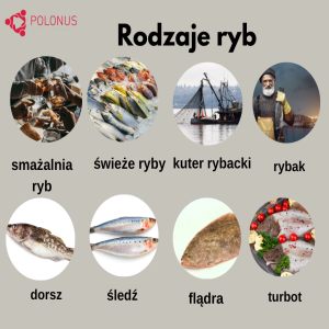 #368 Types of Fish - Rodzaje ryb | Learn Polish Podcast
