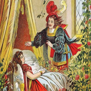 Fairy Tales Sleeping Beauty In The Wood Storyberries Radio