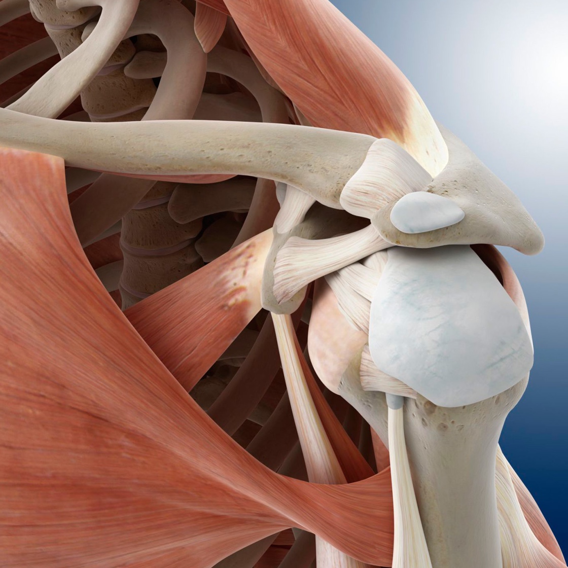 37: Shoulder Pain, Impingement, & Rotator Cuff Issues: The Most Common ...
