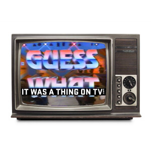 It Was a Thing on TV: An Anthology on Forgotten Television | Mike ...