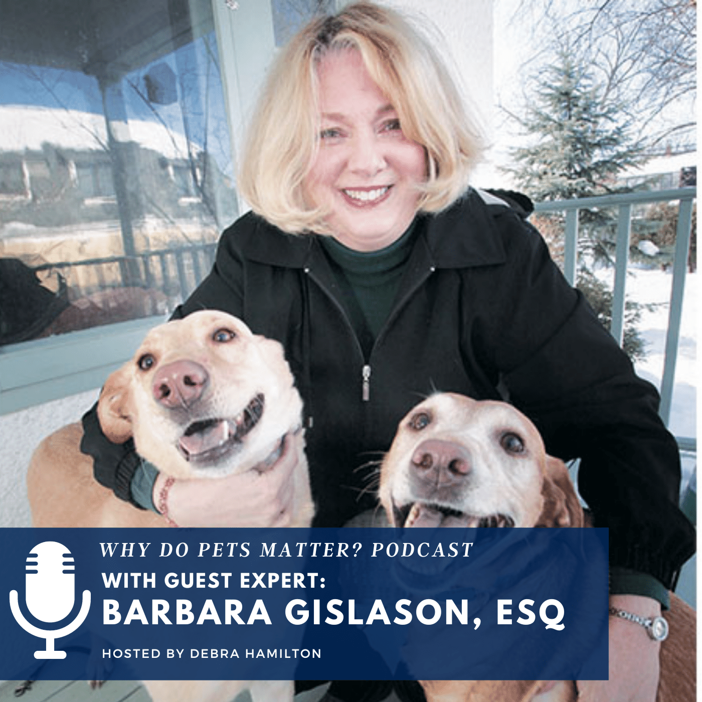 Barbara Gislason - Animal Law Pioneer and The Soul of Animals on "Why ...