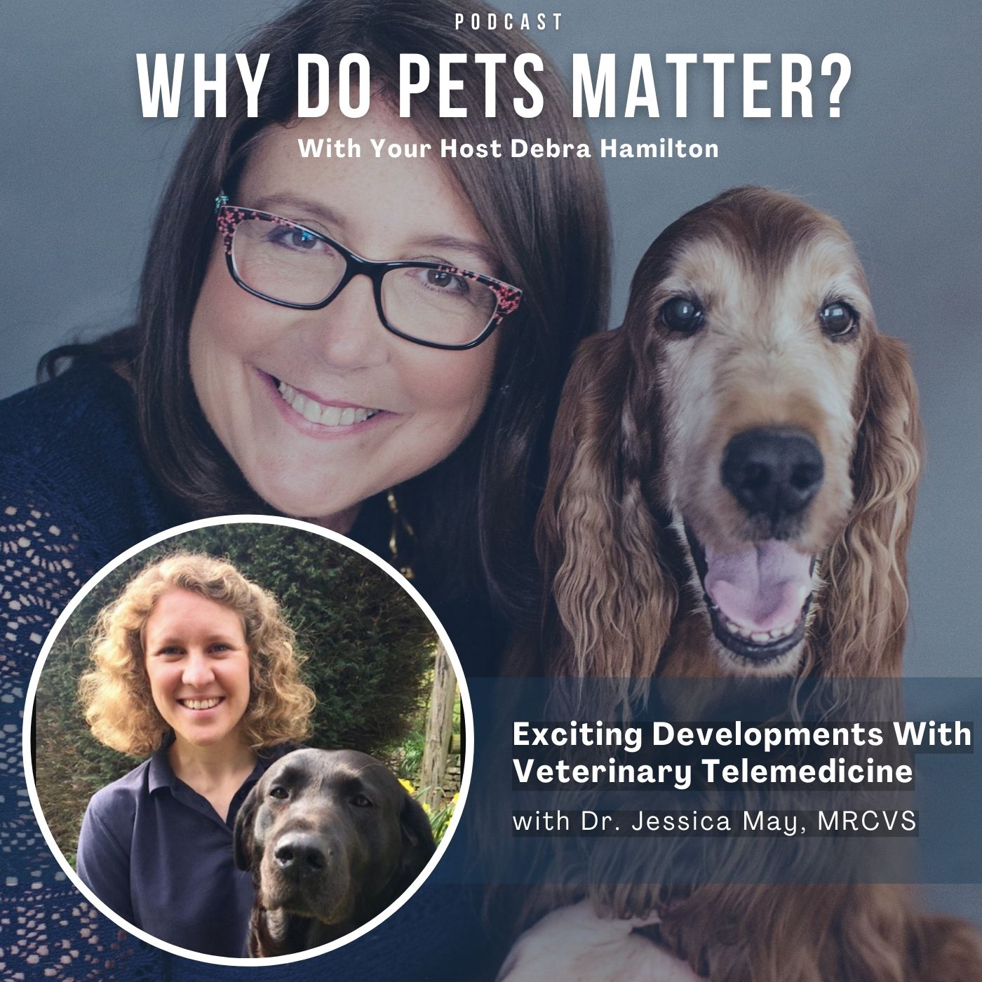 Dr. Jessica May, MRCVS - Exciting Developments With Veterinary ...