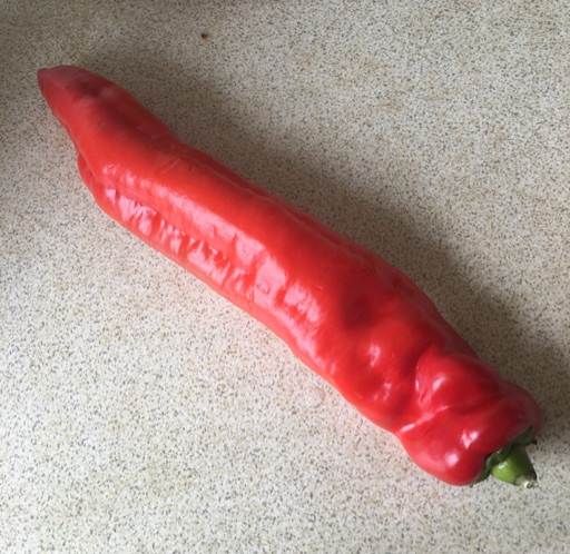 Lita Doolan’s Audio Books