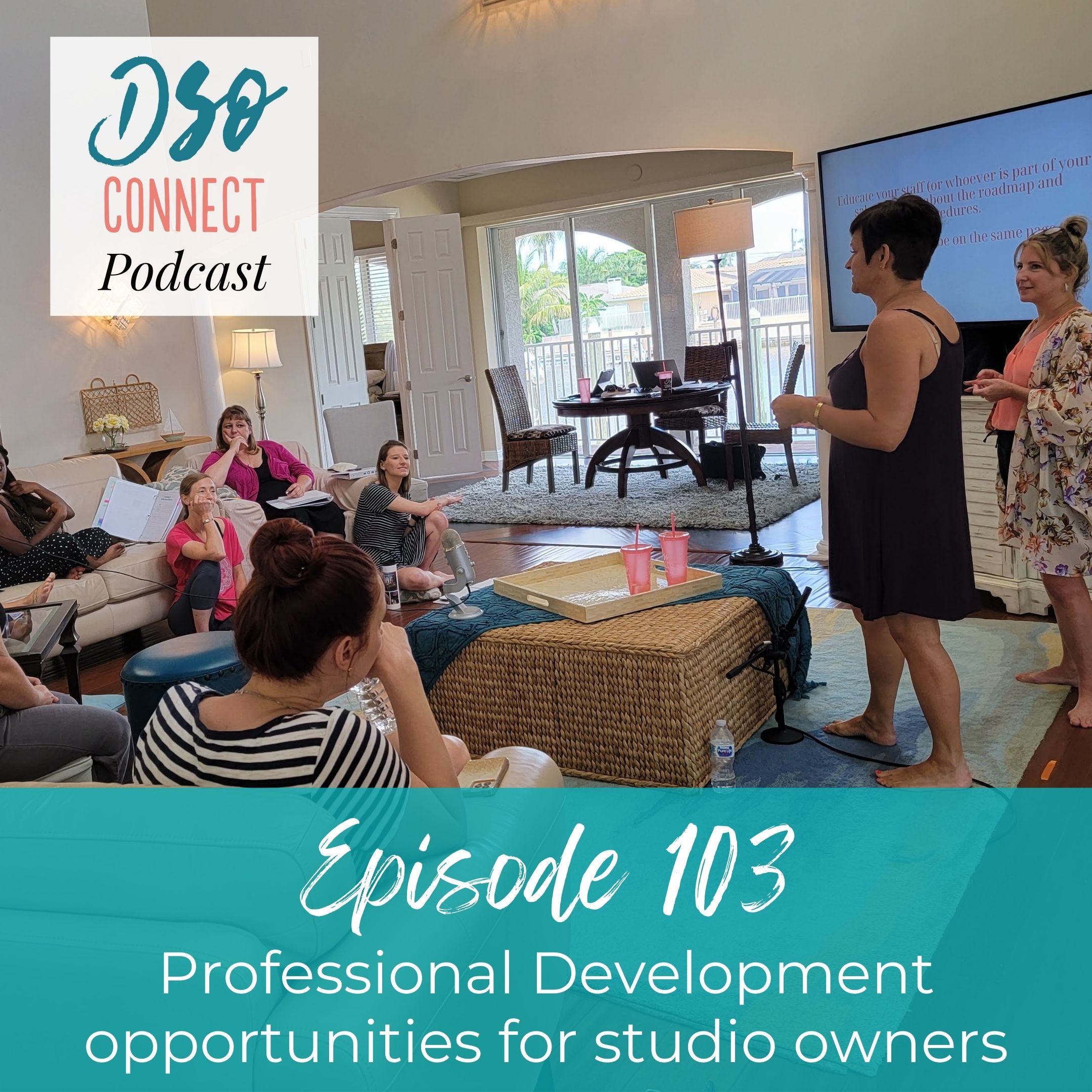 103. Professional Development opportunities for studio owners – DSO ...