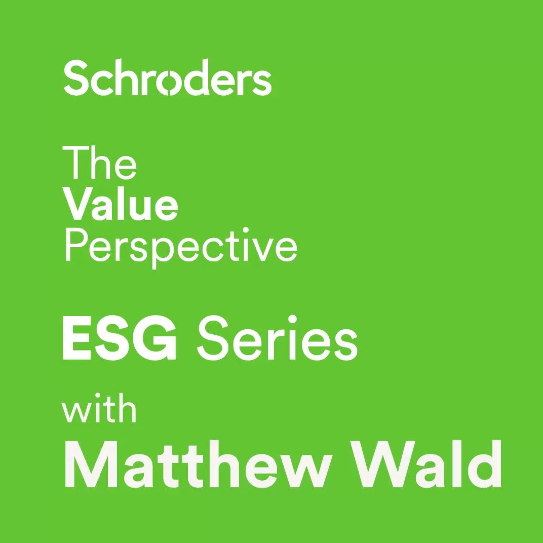 The Value Perspective ESG Mini Series with Matthew Wald – The Value ...