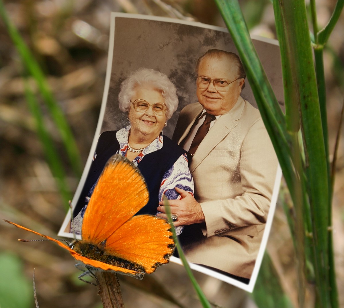 high school | "All Things Jessamine with Doug Fain"