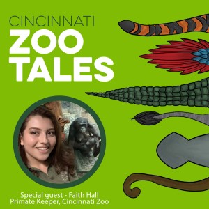 Page 8 | Cincinnati Zoo Tales
