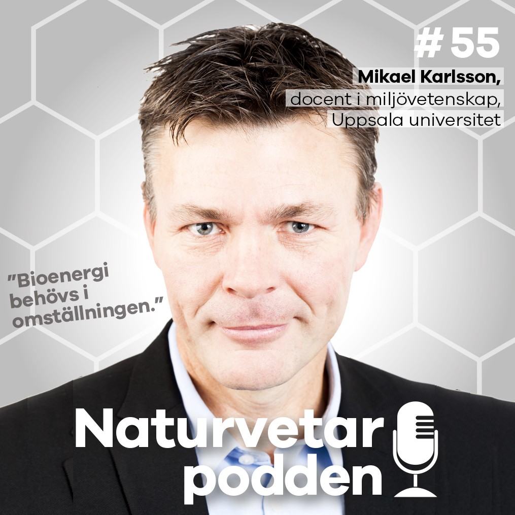 #55 Mikael Karlsson – Det lönar sig att ställa om - Naturvetarpodden ...