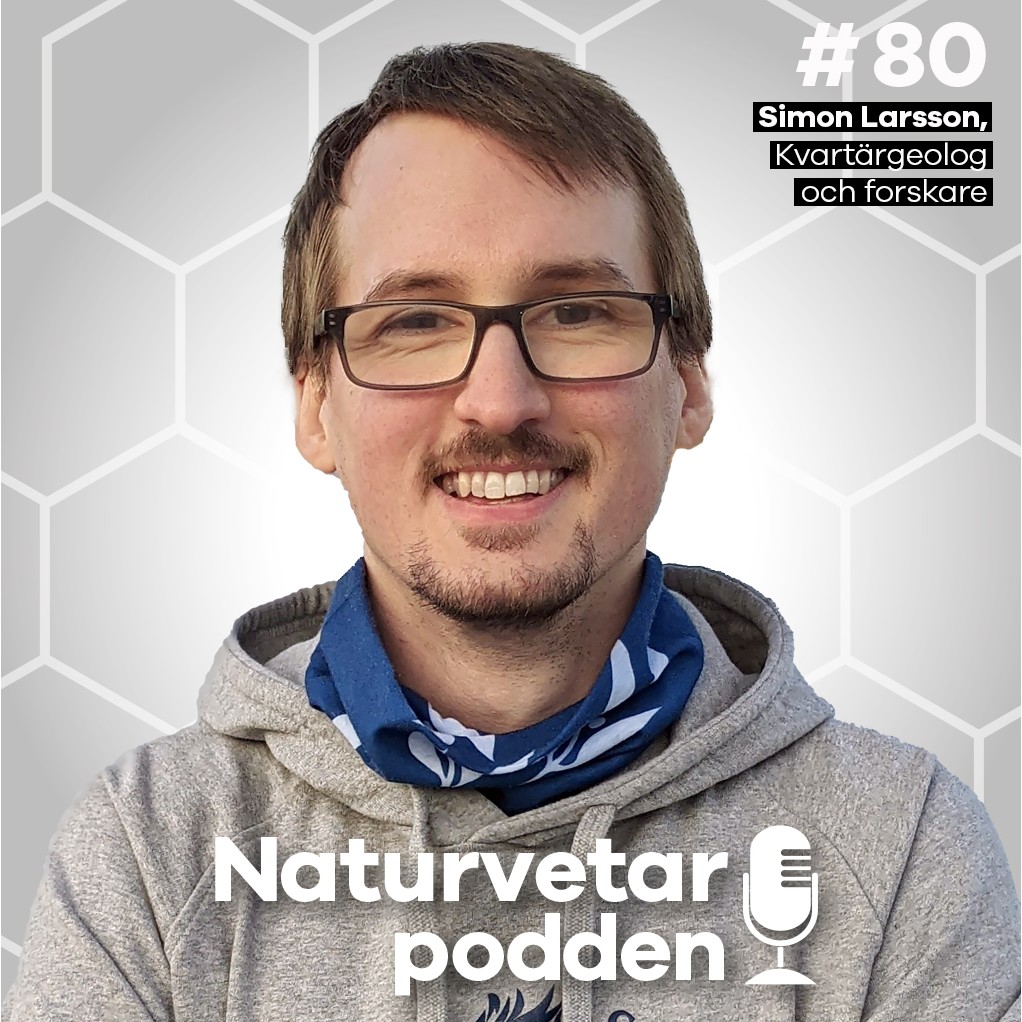#80 Simon Larsson – Jordskredet som slet sönder E6 - Naturvetarpodden - gör dig lite klokare ...