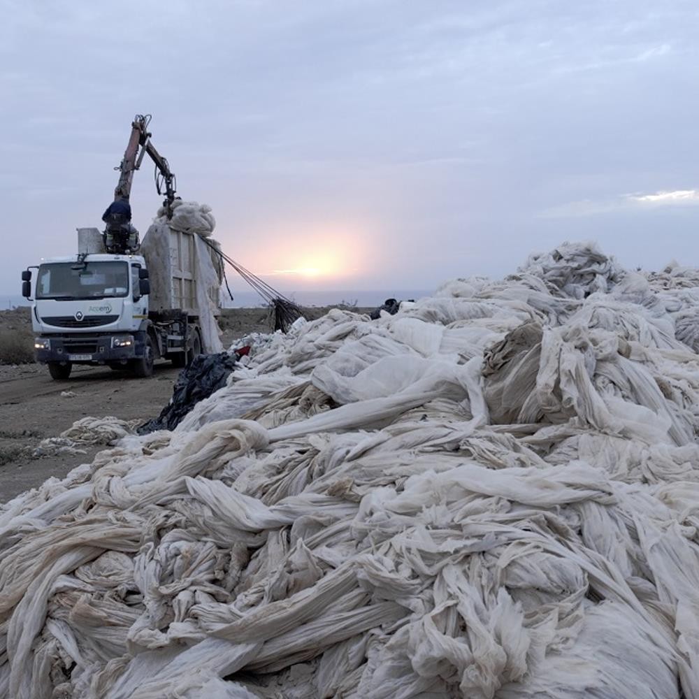 Cultivating Plastics – how the use of agriplastics sows the seeds of ...