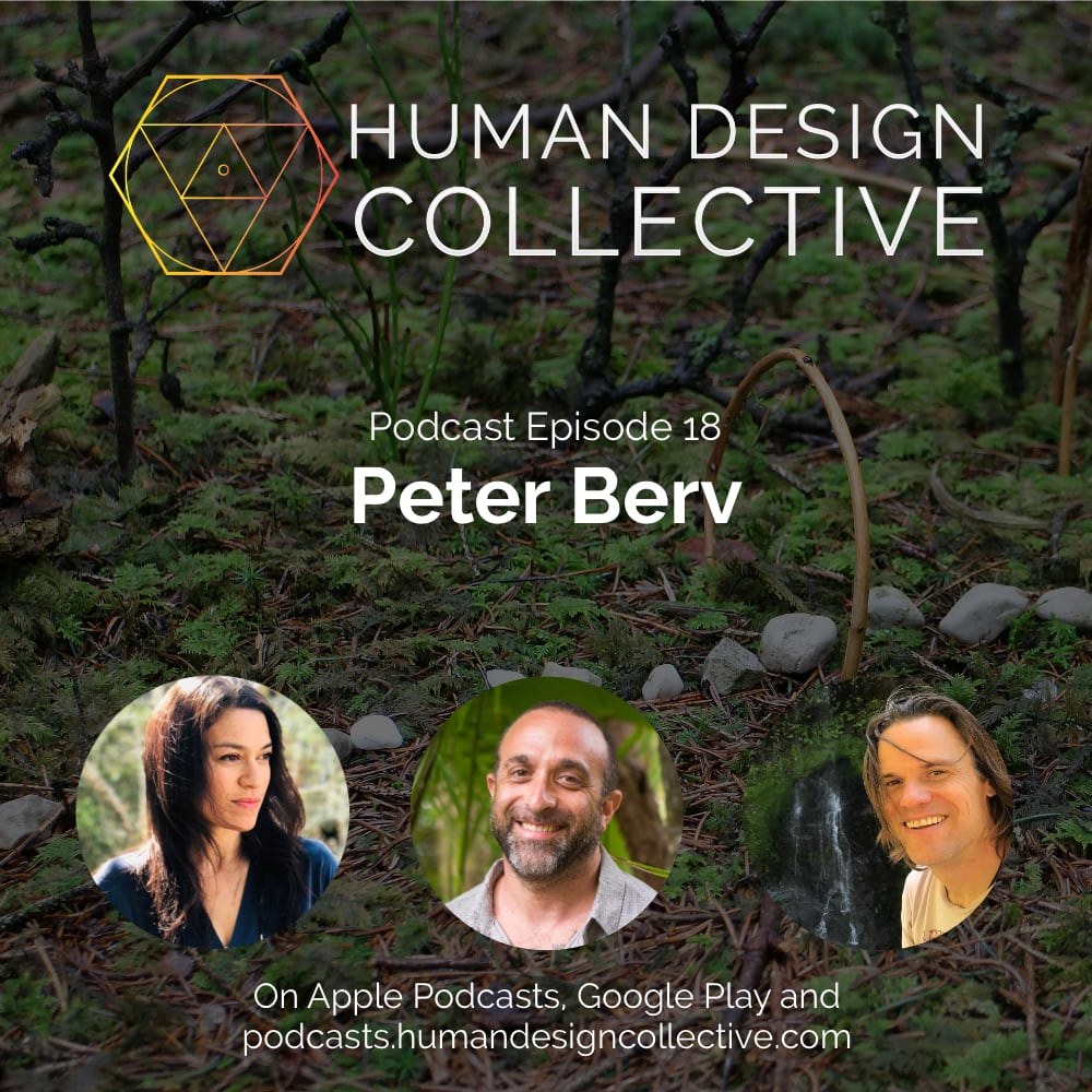 Peter Berv on his work as an analyst and with various healing modalities, his near death ...
