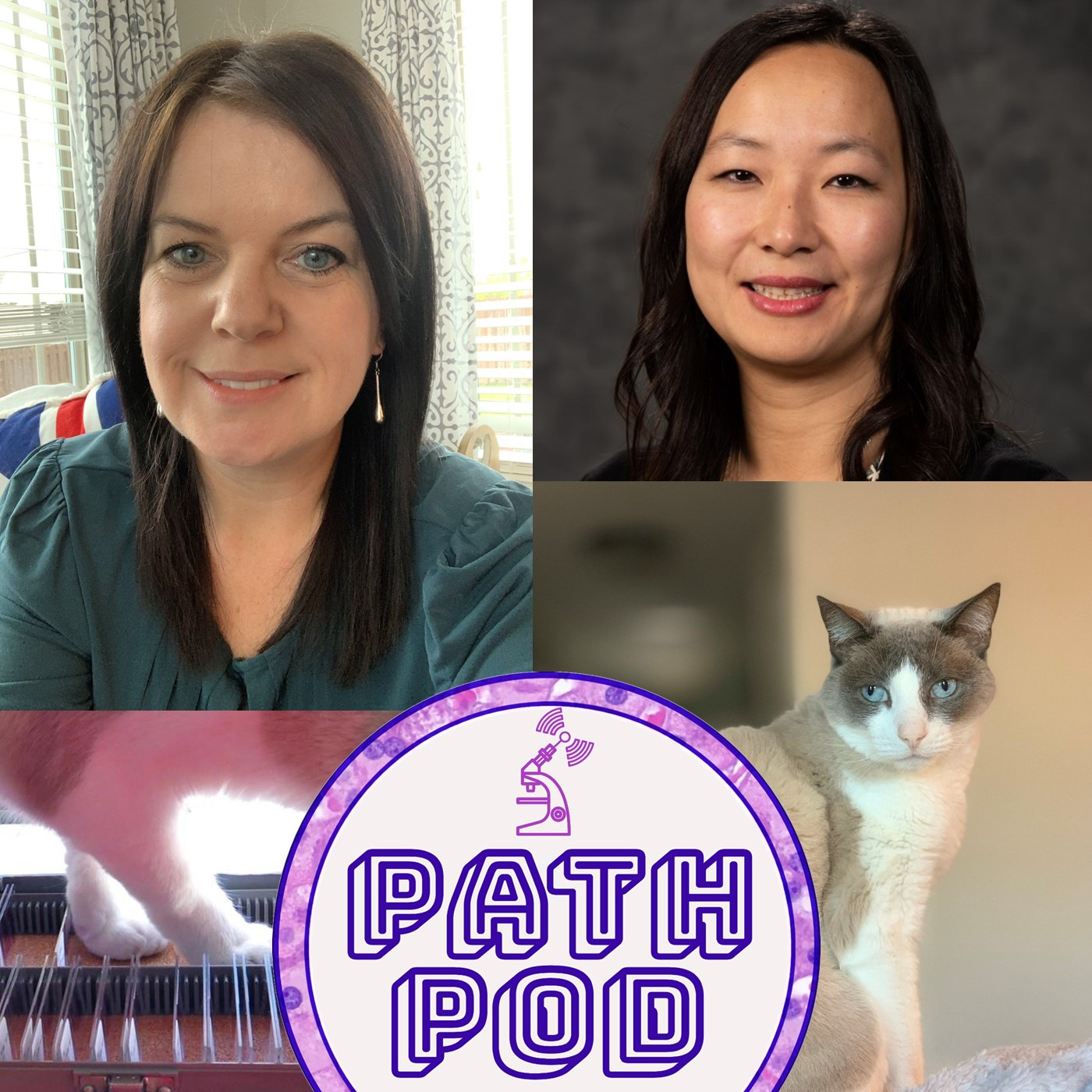 Beyond the Scope: Dr. Nicola Parry on Veterinary Pathology and Pets ...