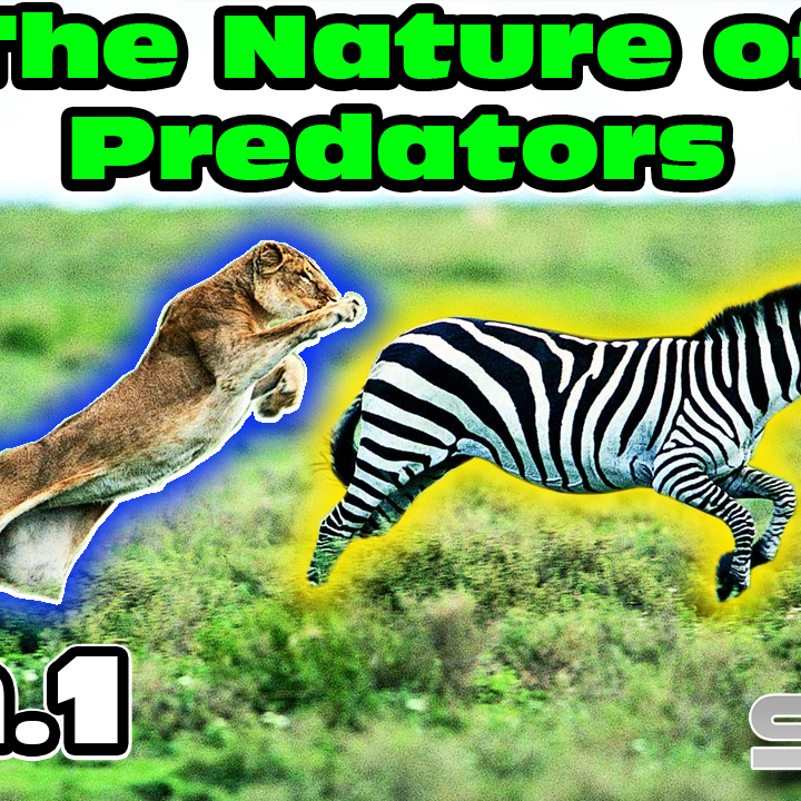 The Nature of Predators ch.154 to 158 | HFY | Science fiction Audiobook ...