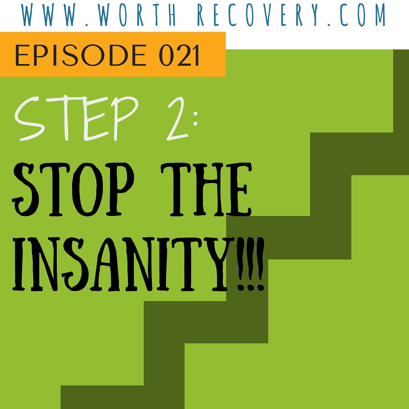 Episode 021: Step 2: Stop the Insanity! | Worth Recovery