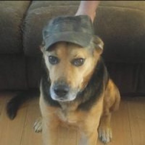 Supporting The Crusty Canuck Podcast