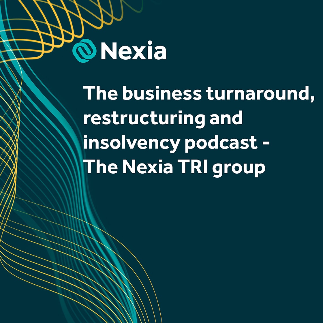 Nexia Ionut Zeche Romania | The Nexia TRI Podcasts