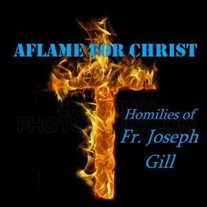 Aflame for Christ | Fr. Joseph Gill