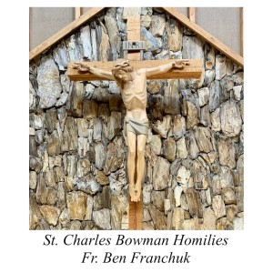 Nov 27, 2022:1st Sunday Advent - Fr. Luke Doyle | St. Charles Bowman ...