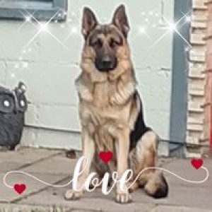 Murder in the Heartland ”Erwin Charles Simants” | Grinding true crime