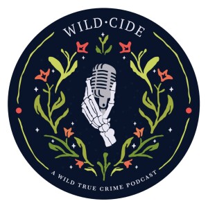Femicide: The Murder of Melody Rohrer | WILDCIDE