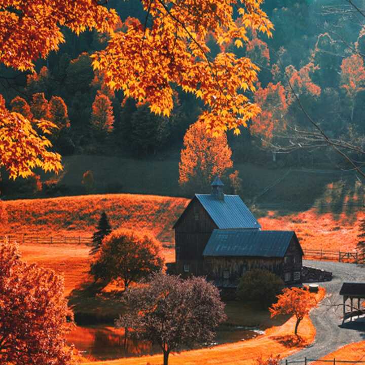 #115 Too Pretty To Live: The Janelle Potter Story | True Crime Guys