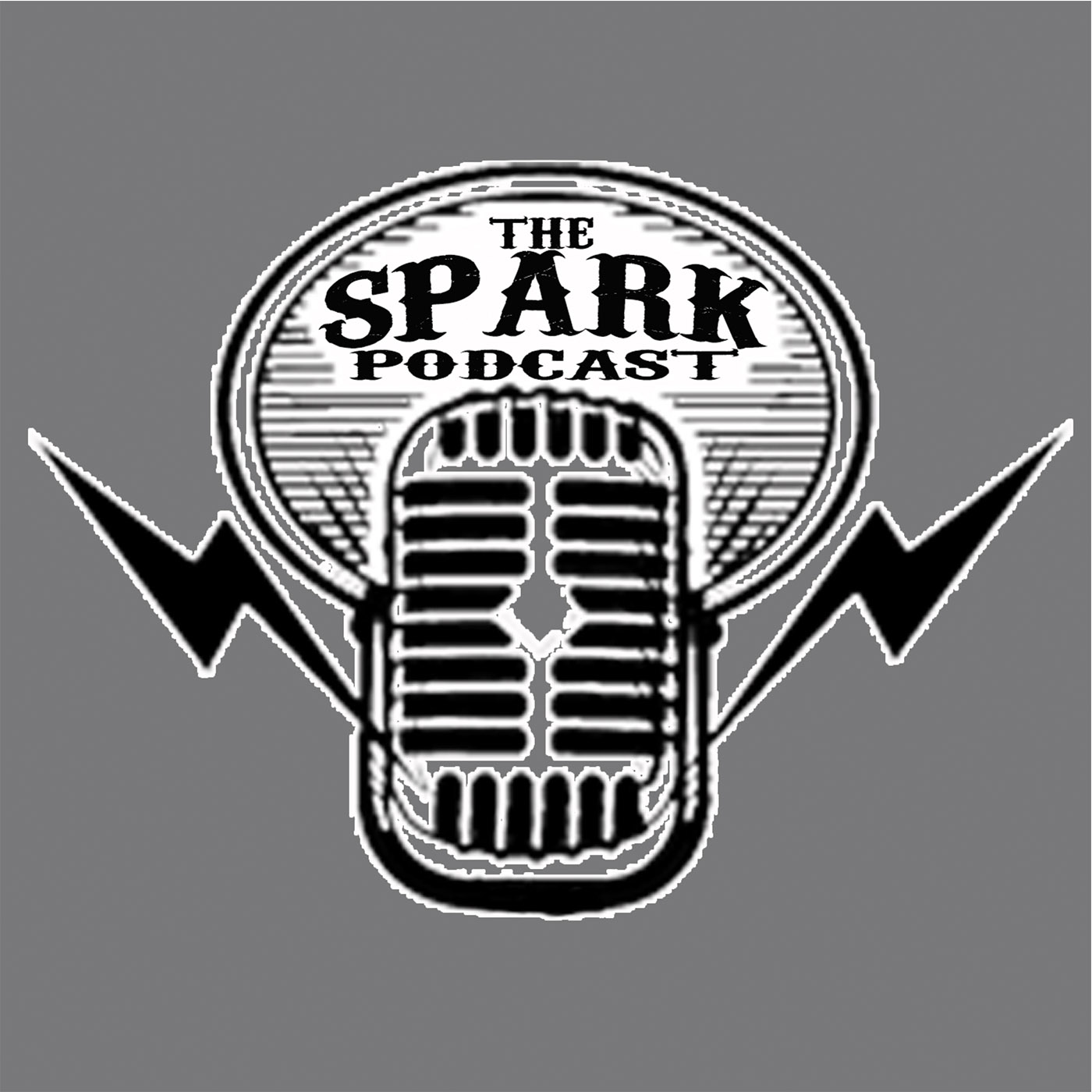 The Spark Podcast - with Troy Schaefer | Troy Schaefer